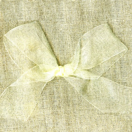 Organdie ribbon col. Ecru 051 - La Mercerie Parisienne
